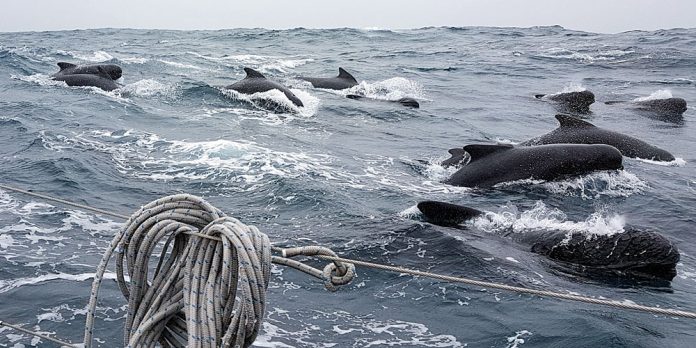 Törnbericht: von Schottland nach Island über die Färöer-Inseln